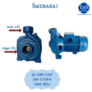 EBARA ปั๊มน้ำหอยโข่ง CMB-1.00T - CMB-5.50T - ชิลเลอร์และอะไหล่เครื่องทำความเย็น